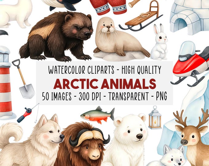 Arctic Animals Watercolor Clipart, Cute Polar Bear, Penguin, Narwal ...