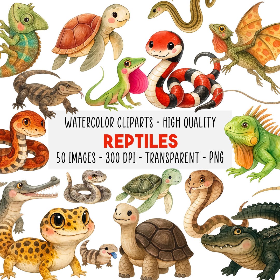 50 Reptile Watercolor Clipart PNG Bundle, Snake, Lizard, Turtle ...