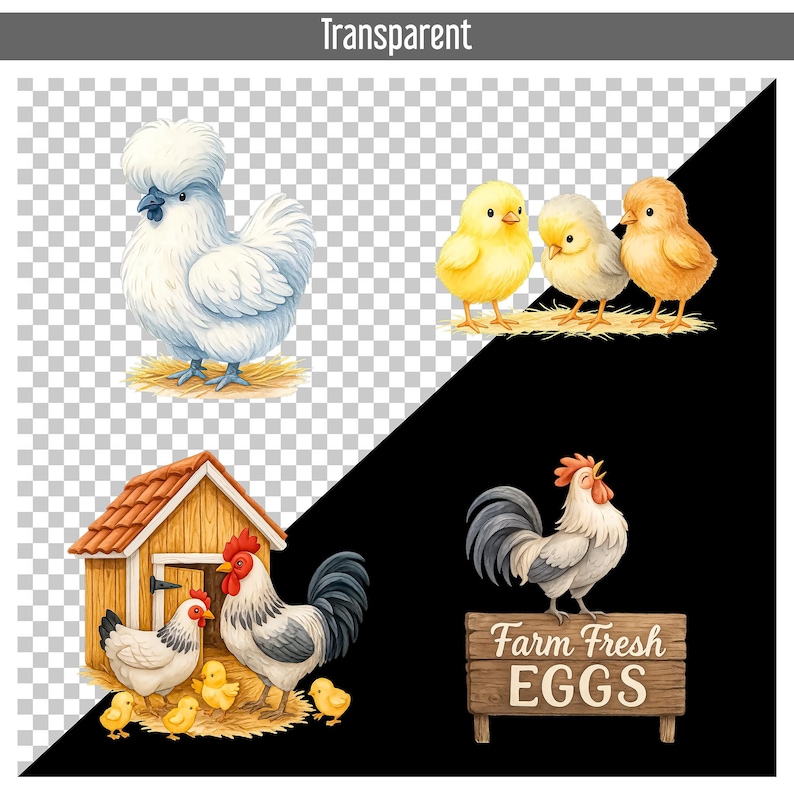 50 Chicken Watercolor Clipart Bundle, Farm Animals PNG, Rooster, Hen ...