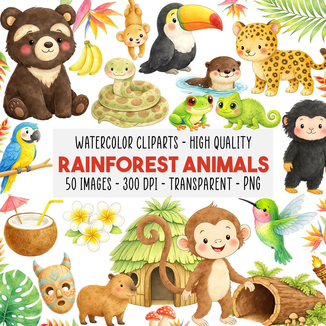 50 Rainforest Animals Clipart PNG Set Watercolor Jungle Exotic Wildlife ...