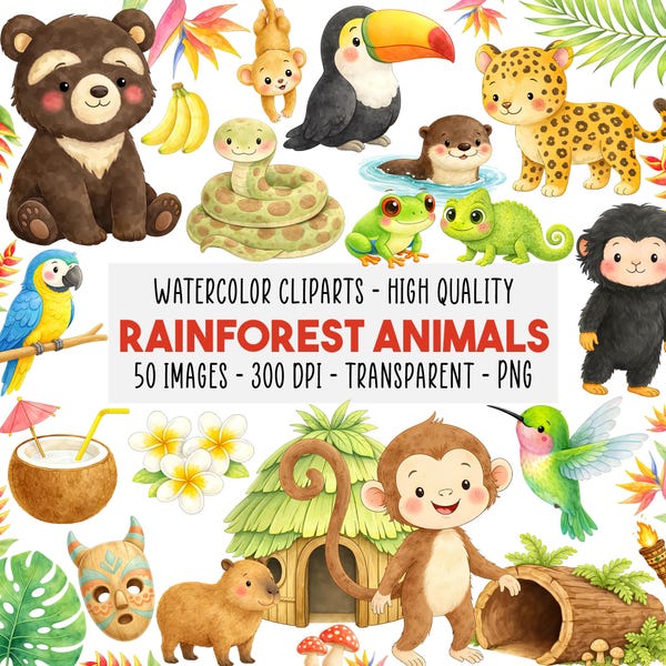 Rainforest Animals Clipart - Etsy