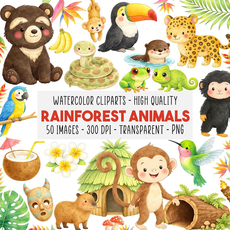 Rainforest Animals Clipart - Etsy