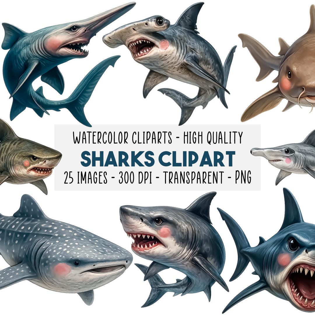 25 Sharks Watercolor Clipart, Shark PNG Bundle, Great White, Hammerhead ...