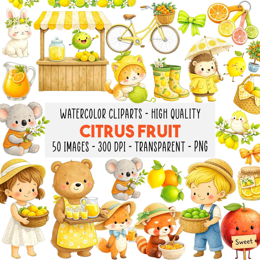 50 Citrus Fruit Clipart PNG Set Whimsical Nursery - Etsy