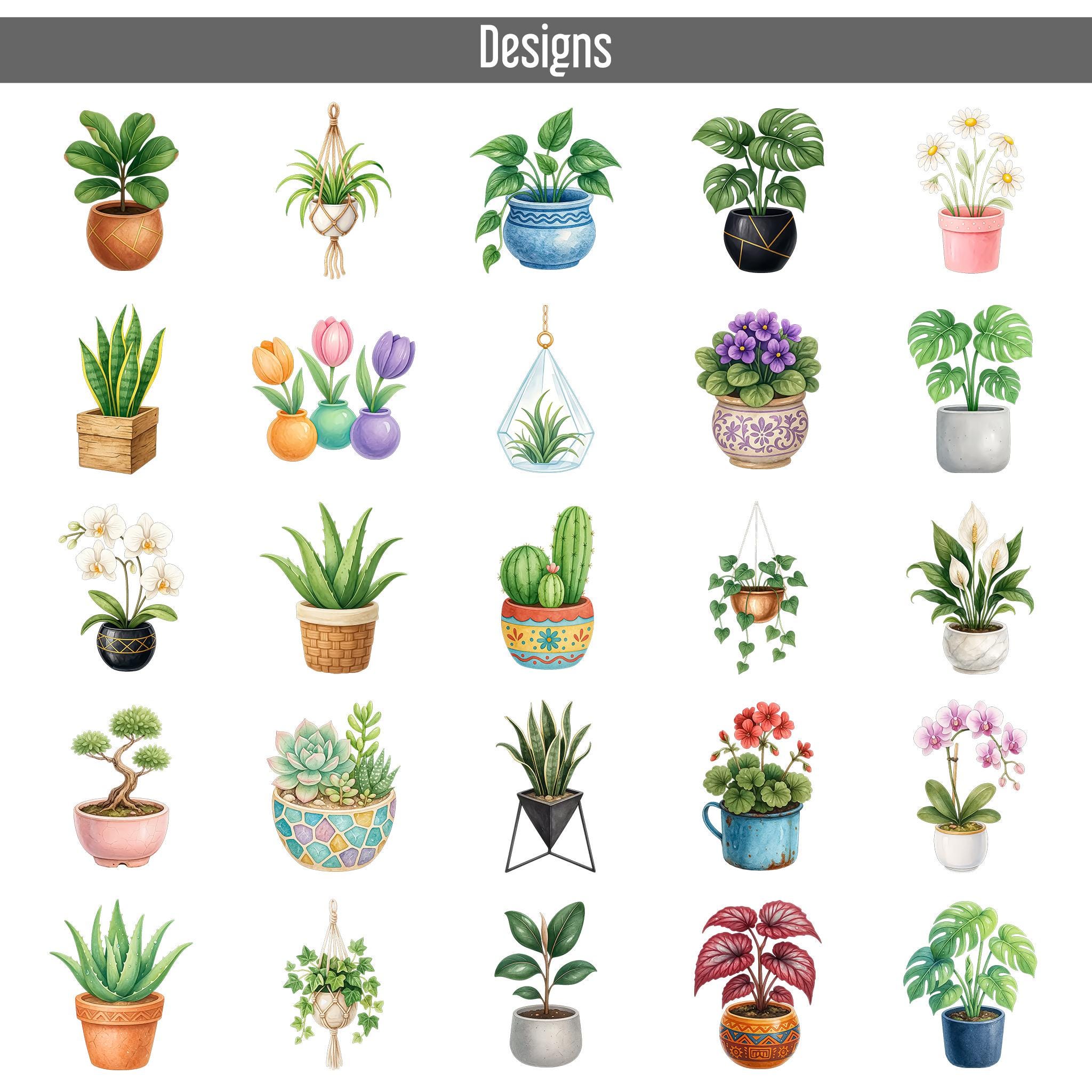 50 Watercolor House Plants Clipart PNG Set, Potted Indoor Plants ...