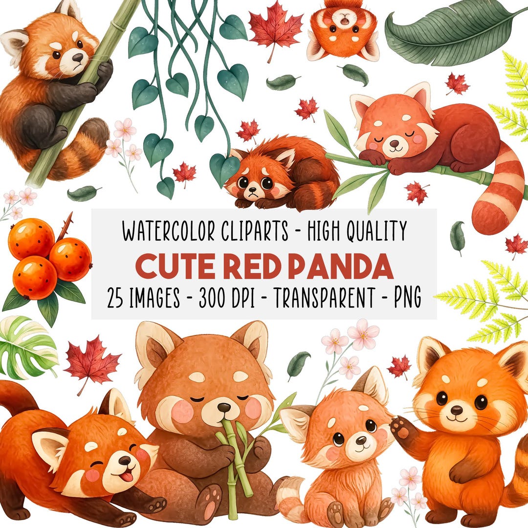 75 Red Panda Watercolor Clipart PNG Bundle, Cute Bamboo Forest Animals ...