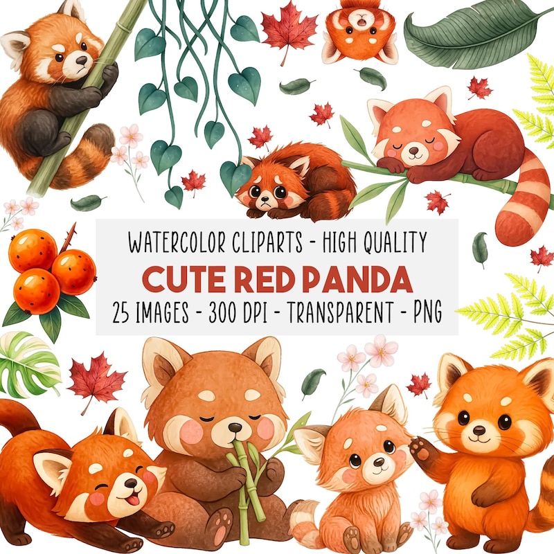 Red Panda Watercolor - Etsy
