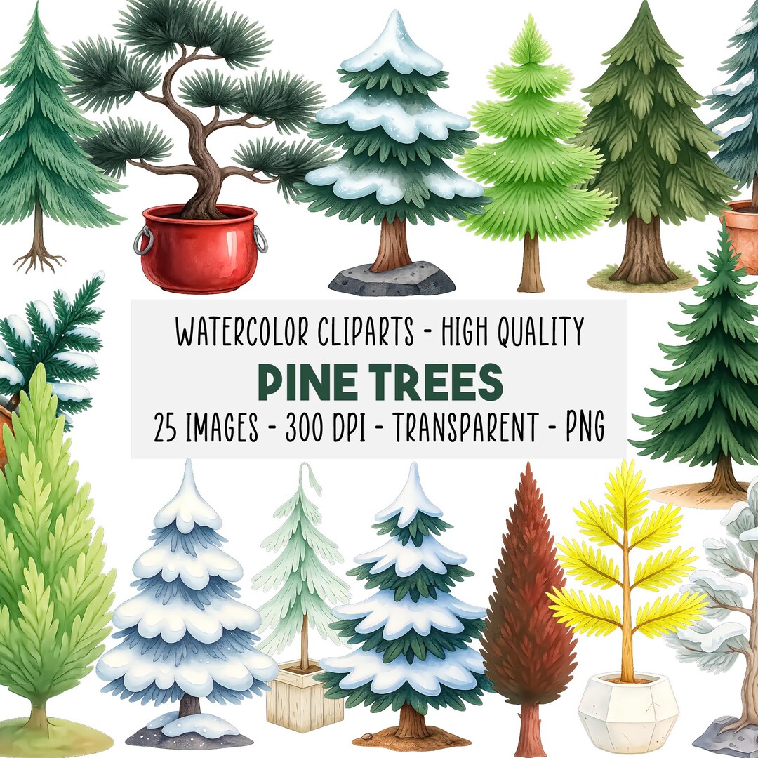 25 Pine Trees Watercolor Clipart, Spruce, Fir, Cedar PNG, Winter Forest ...