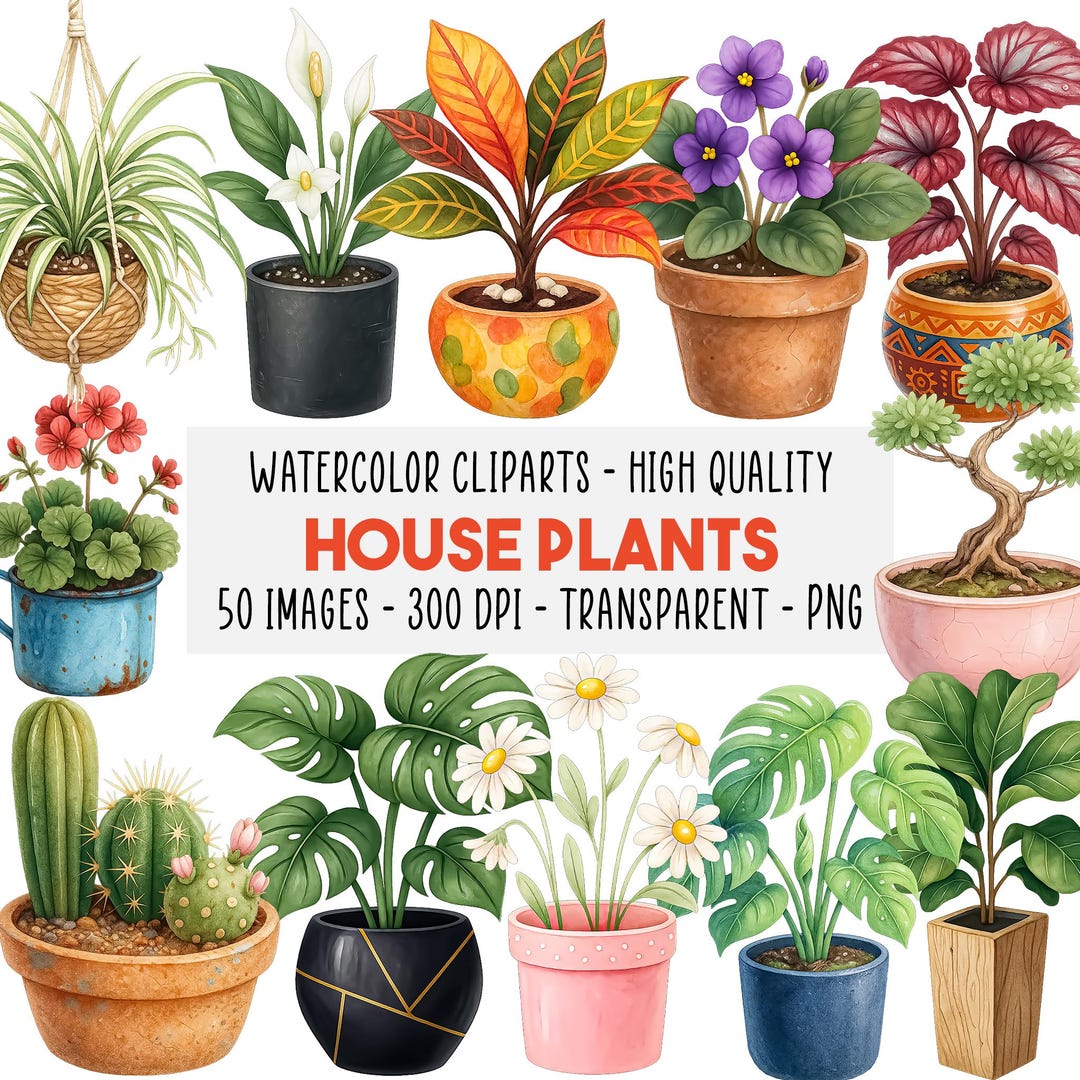 50 Watercolor House Plants Clipart PNG Set, Potted Indoor Plants ...
