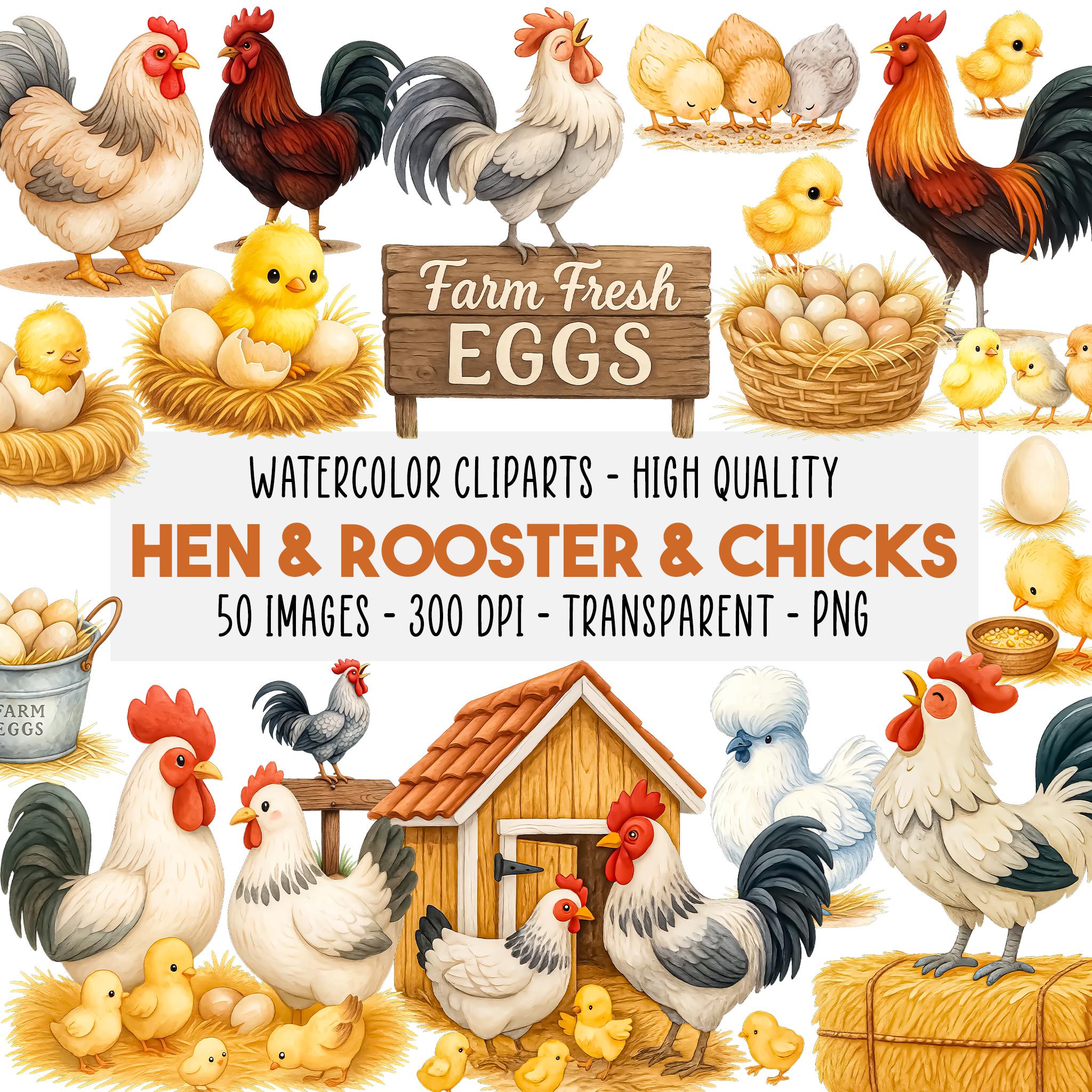 50 Chicken Watercolor Clipart Bundle, Farm Animals PNG, Rooster, Hen ...