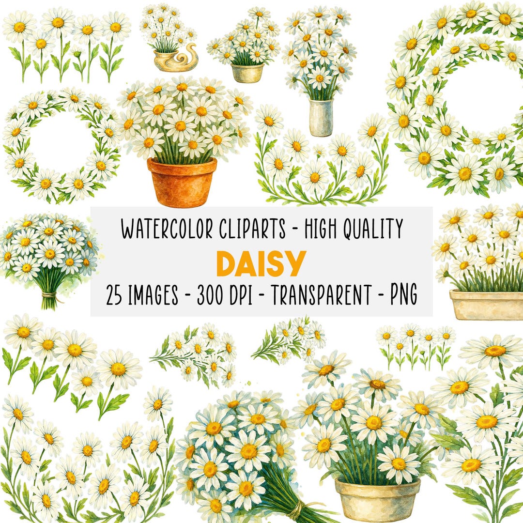 25 Watercolor Daisy Border Clipart PNG Set, Hand Painted Chamomile ...