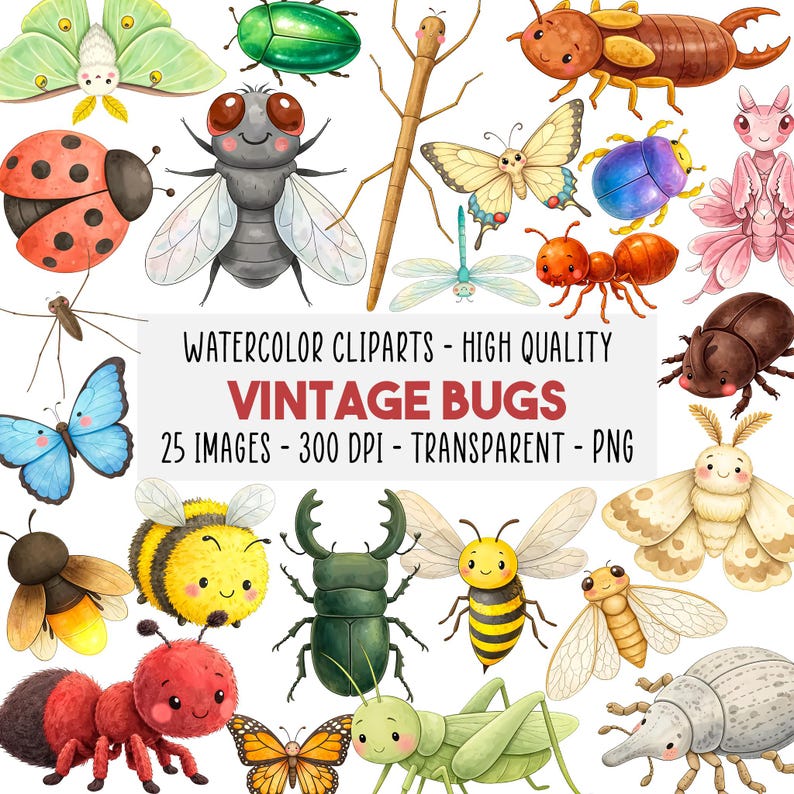 25 Vintage Bugs Clipart PNG, Watercolor Antique Insects, Butterflies ...