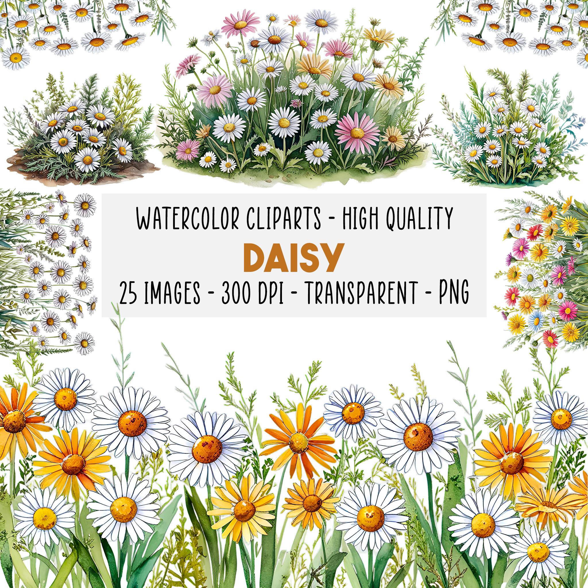 25 Watercolor Daisy Border Clipart PNG Set, Boho Floral Flowers for ...