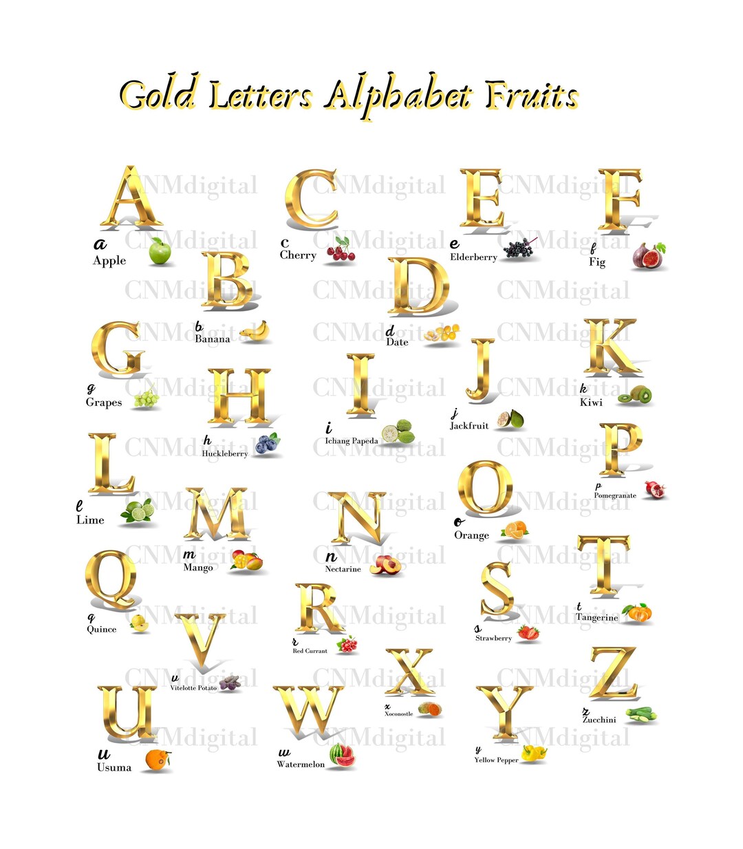 Gold Letters Fruit, English Alphabet, A-Z 26 Gold Color Letters, With ...