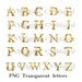 Gold Letters, English Alphabet, Instant Download, Digital File, Gold ...