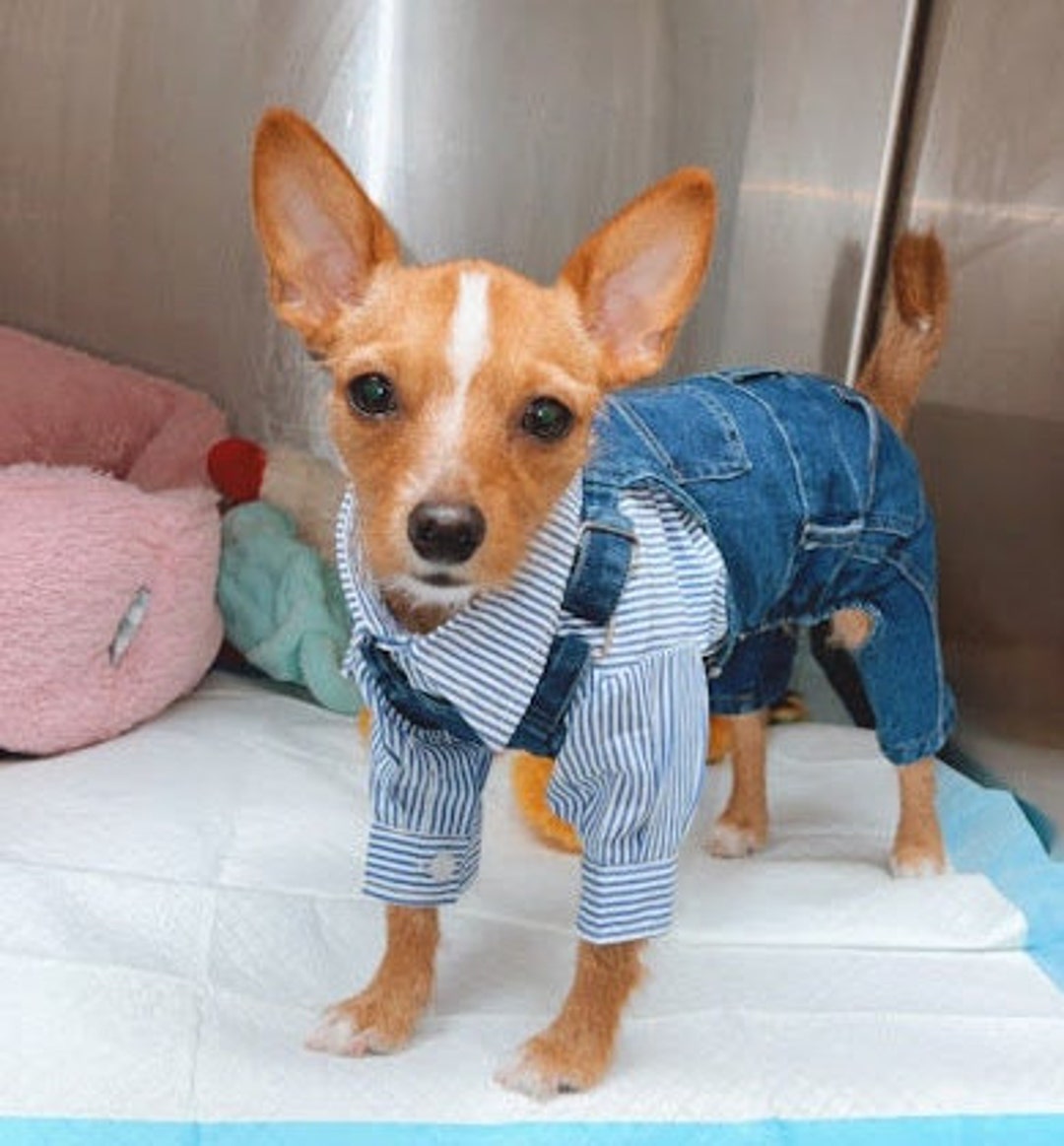 Small Dog Overalls Jean Acres Overalls - Etsy