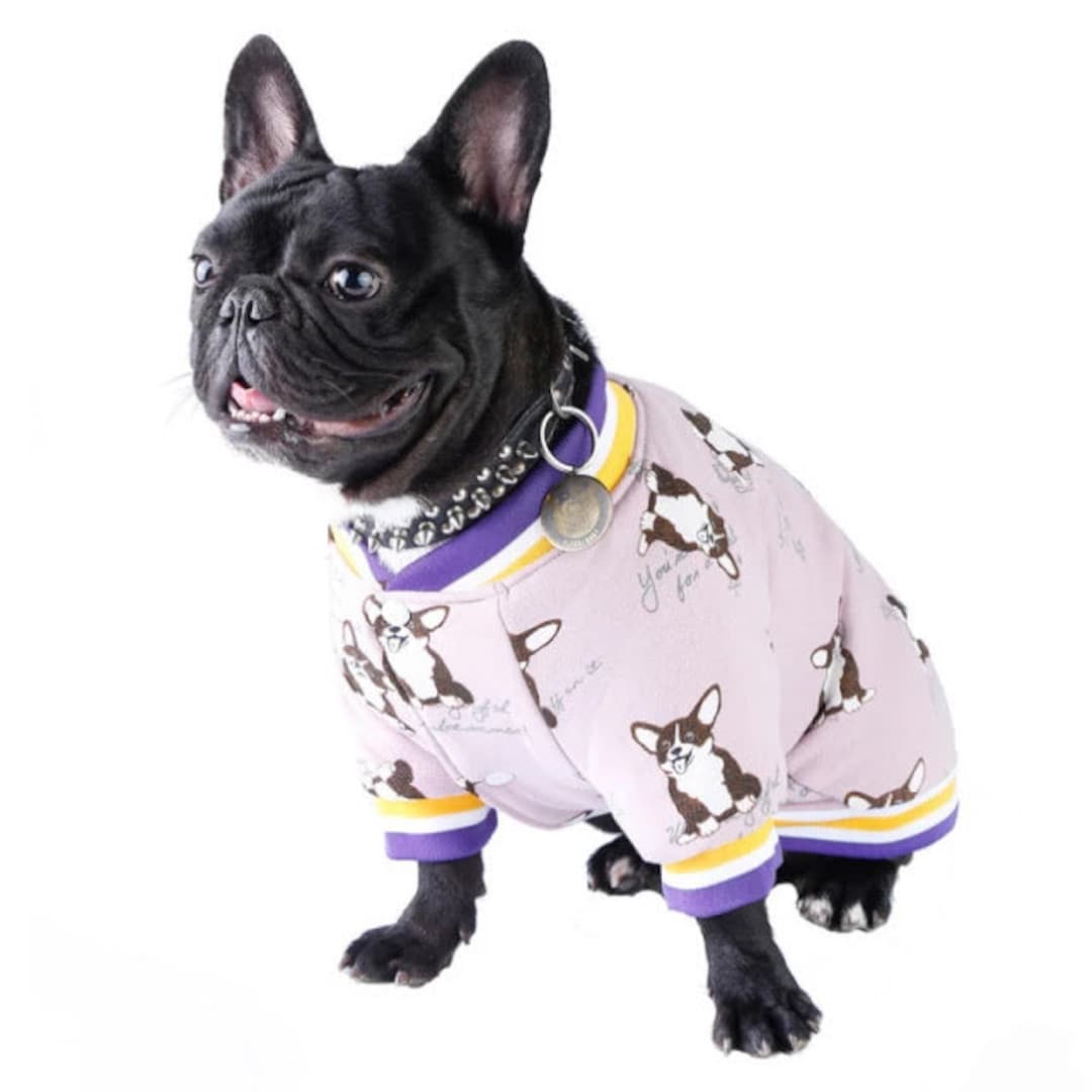 Small Dog Coat corgi Craze - Etsy