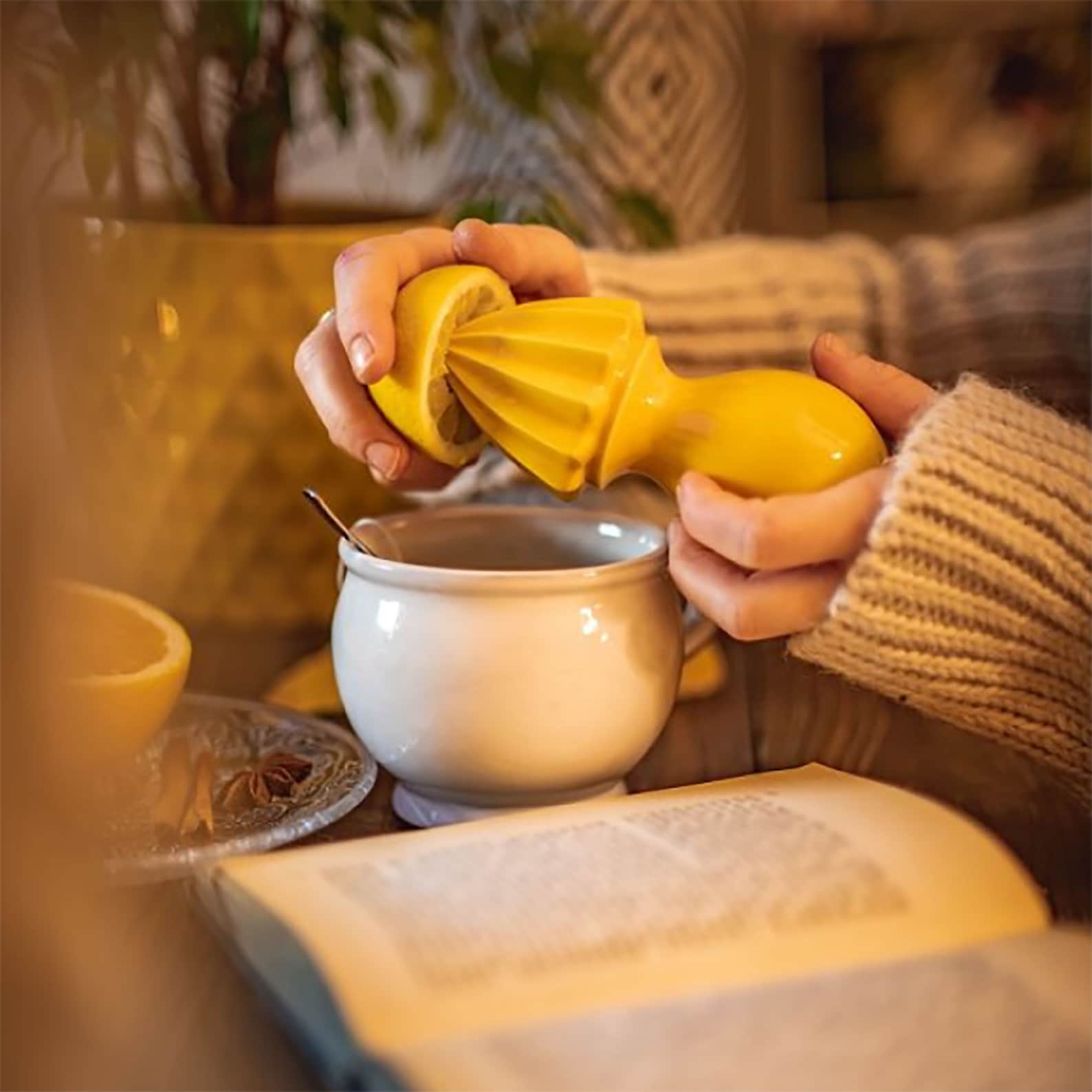 Ceramic Citrus Juicer | in Many Colors | Hand Press | Handmade Lemon ...