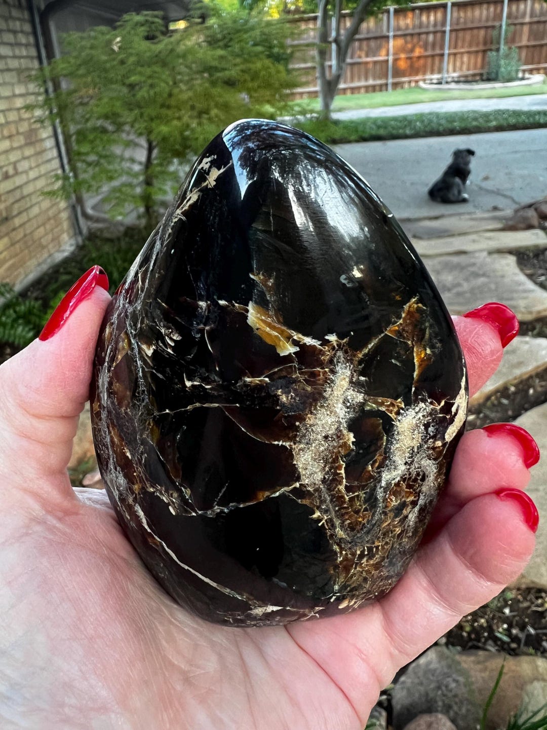 Large Amber Polished Chunk, New, Altar, Gift, High Vibration Crystals ...