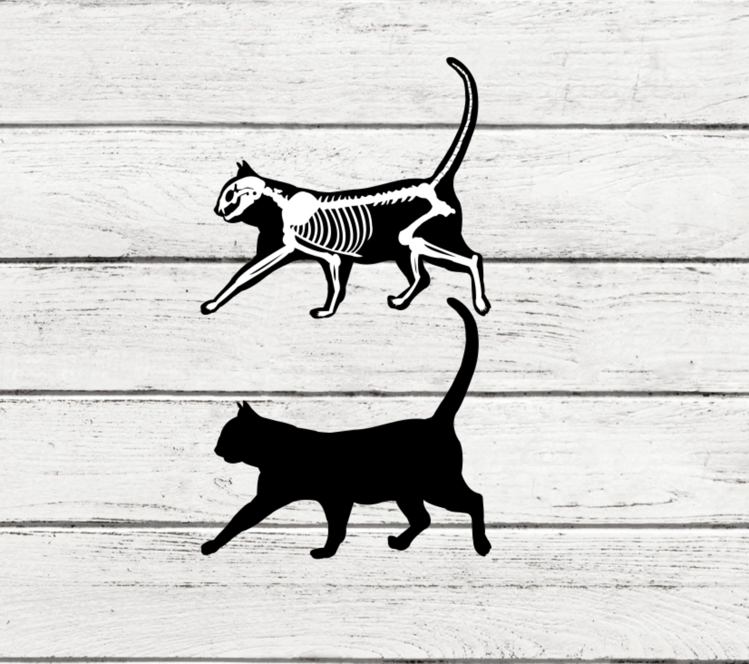 Cat Skeleton Svg Cut Files - Etsy