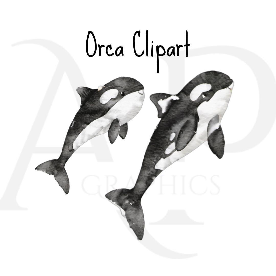 Orca Whale Watercolor Clipart PNG Bundle, Print to Cut Clipart Files ...