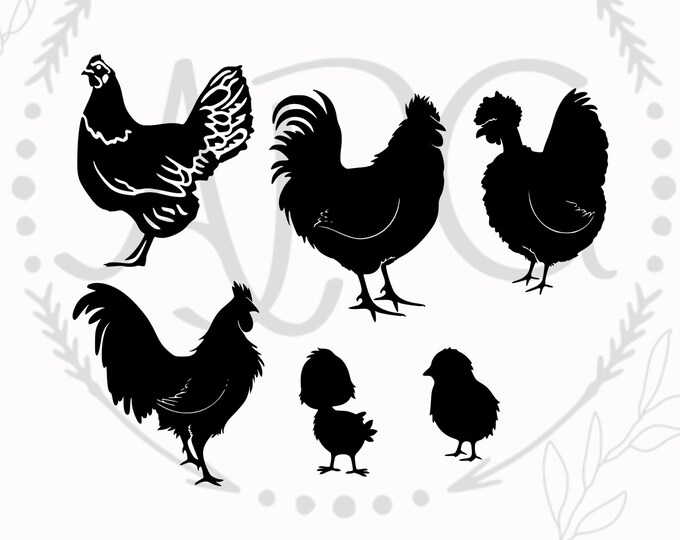 Chicken Rooster Chicks Svg Bundle Cricut Silhouette Vector Svg Eps Dxf ...
