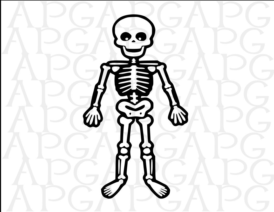 Skeleton Svg Skeleton Png Halloween Clipart Halloween SVG | Etsy