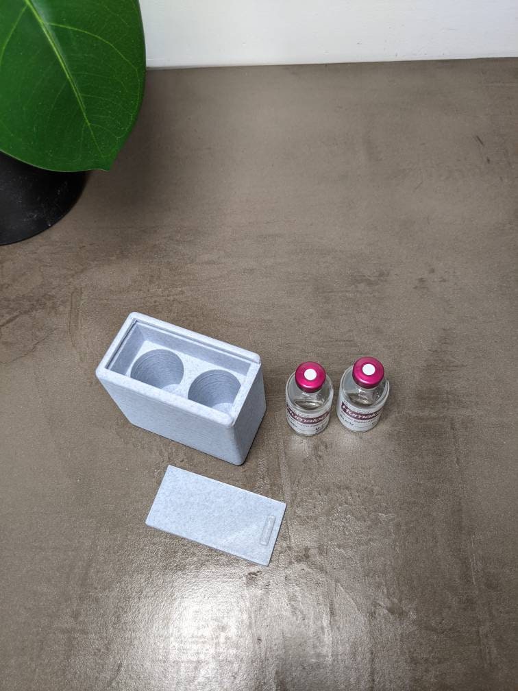 Double Insulin Vial Travel Case - Etsy