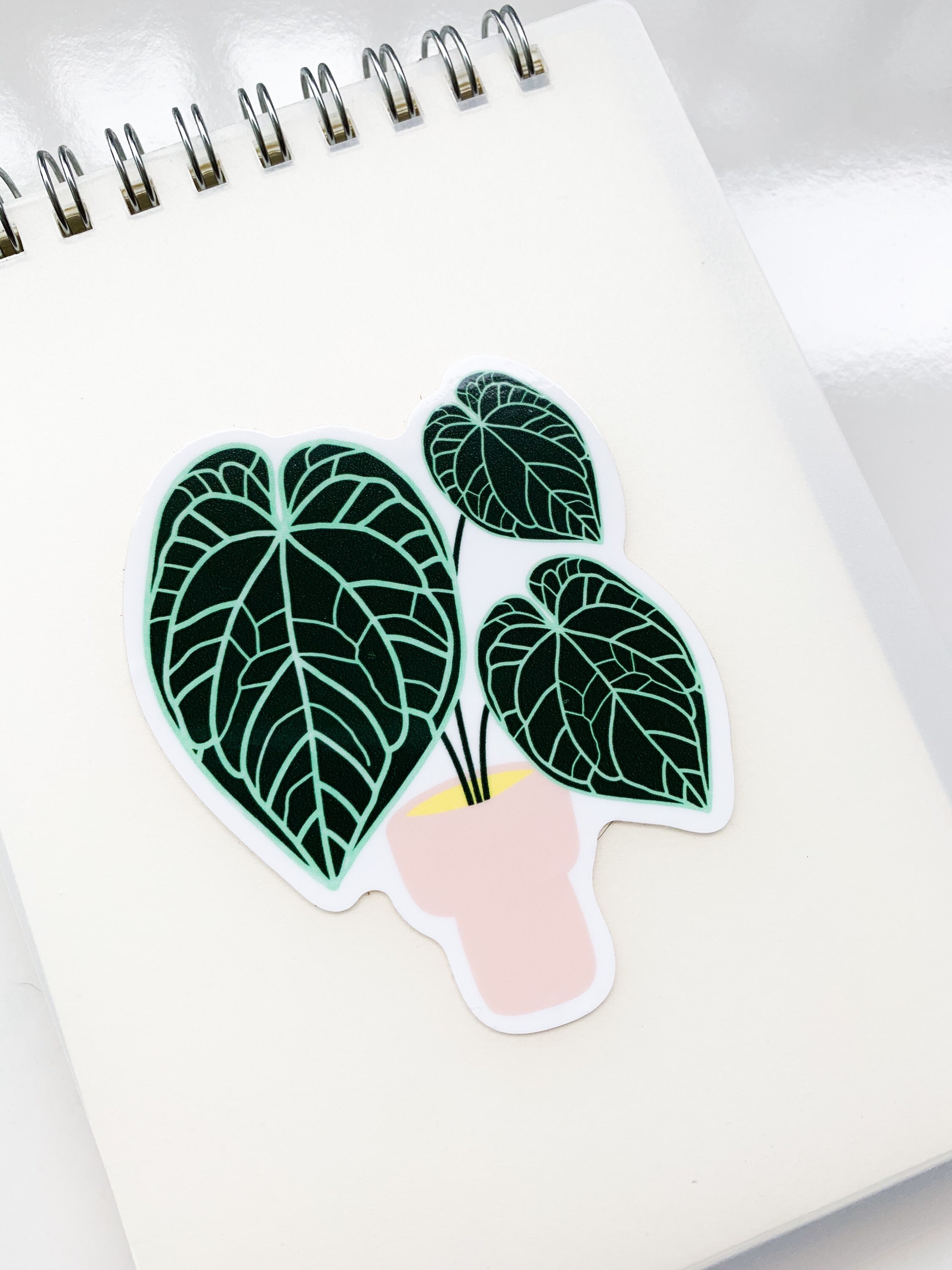 Anthurium Crystallinum Plant Sticker Gift for Plant Mom - Etsy