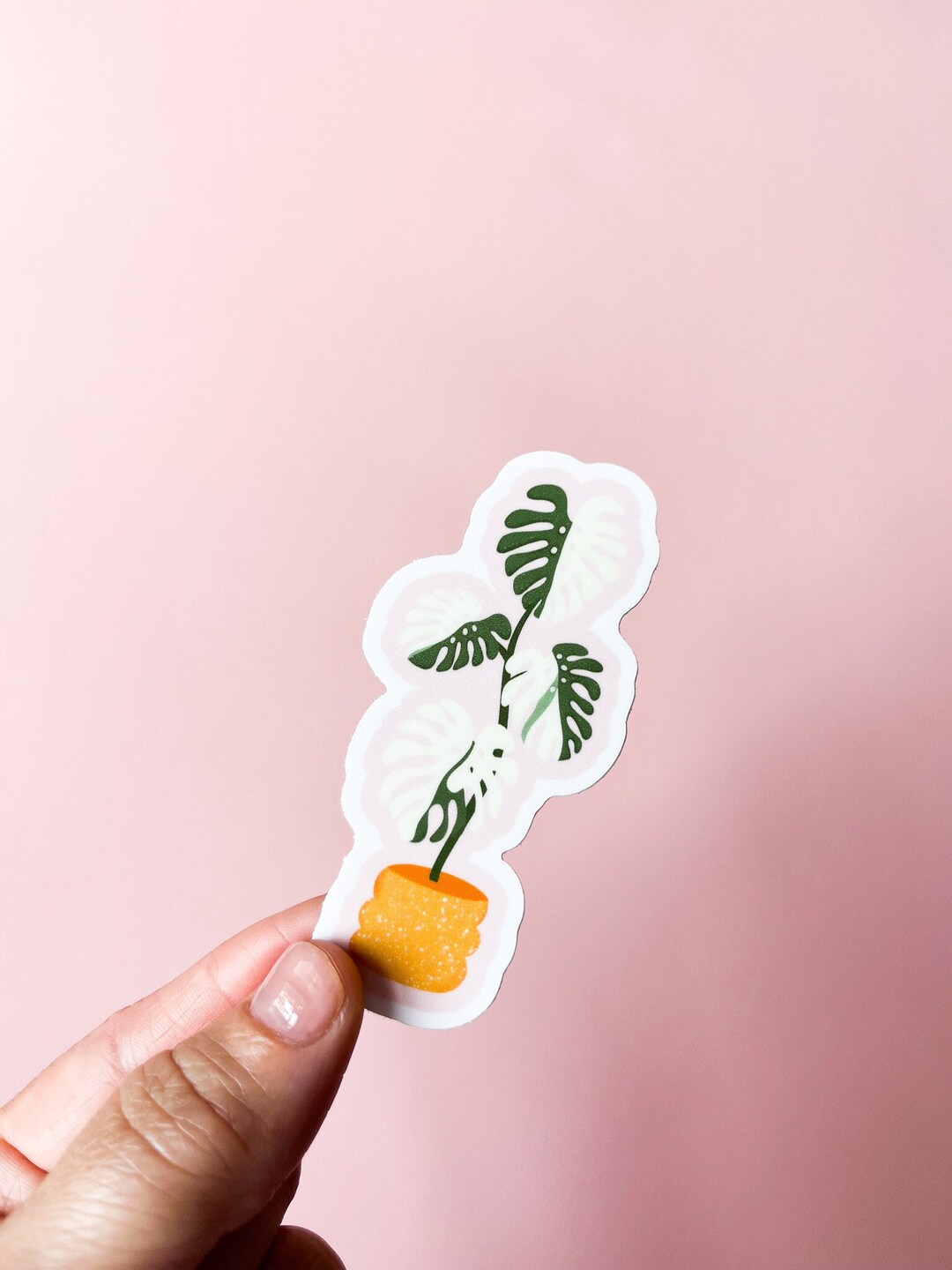 Monstera Albo Pink Sticker, Plant Quote, Weatherproof Sticker, Plant ...