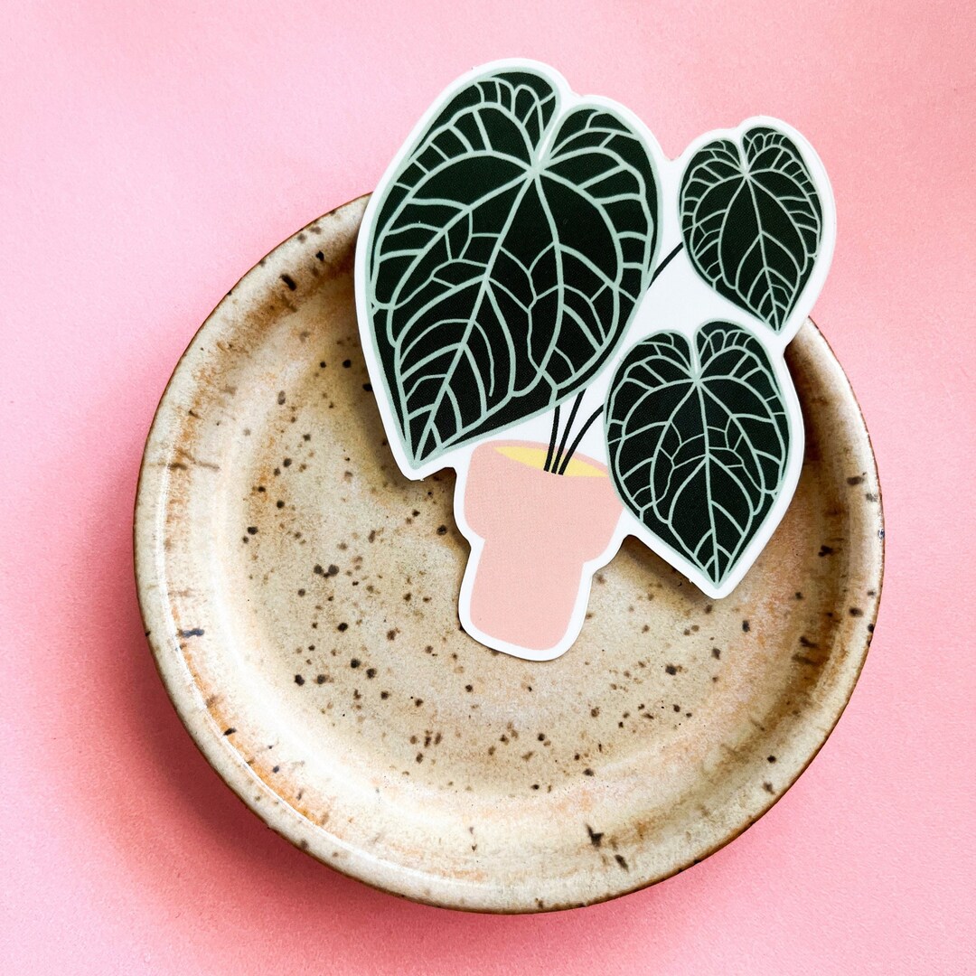 Anthurium Crystallinum Plant Sticker, Gift for Plant Mom, Plant Parent ...