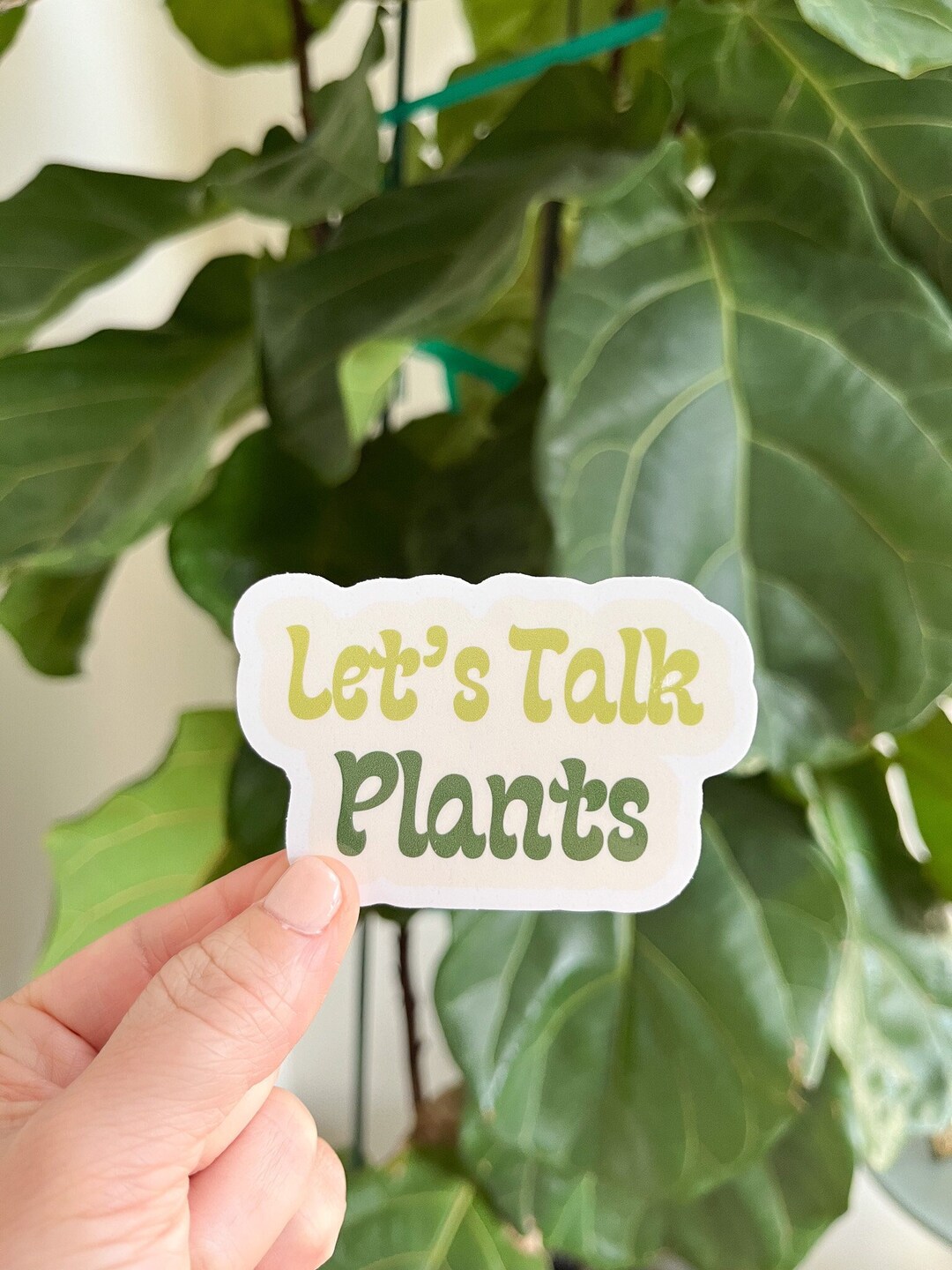 Let's Talk Plants Sticker, Waterproof Vinyl Die Cut Sticker - Etsy