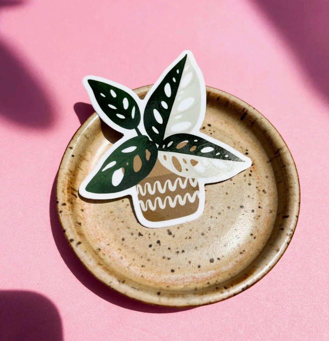 Variegated Monstera Adansonii Vinyl Sticker, Waterproof Plant Decal - Etsy