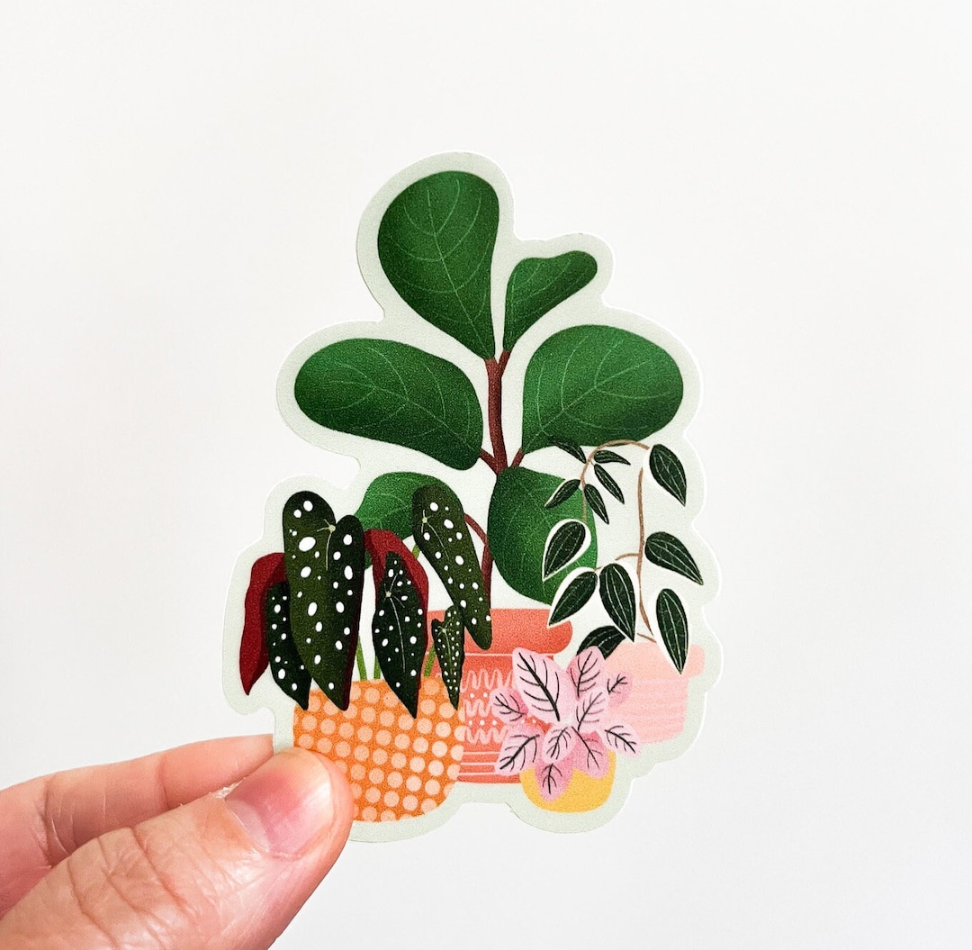 Houseplant Vinyl Sticker, Assorted Potted Plants (2x3 In) - Etsy