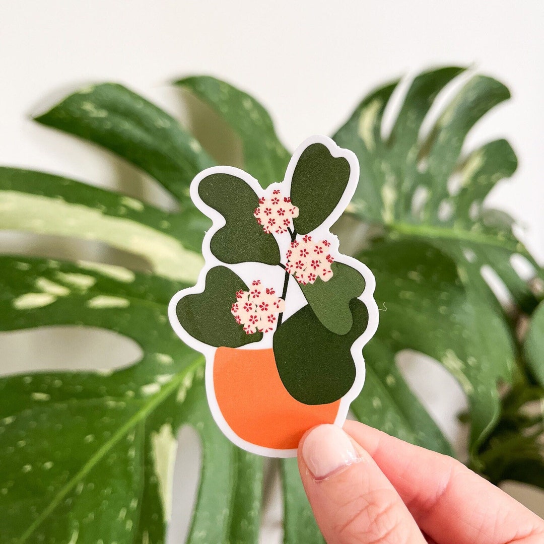 Hoya Kerrii Plant Sticker, Hoya Heart, House Plant Sticker, Plant Lady ...