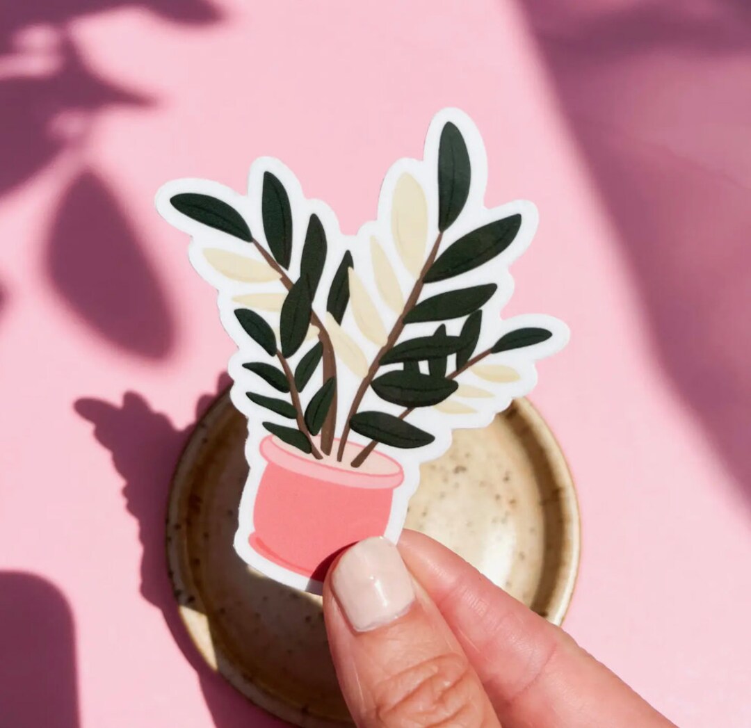 Variegated Raven ZZ Plant Sticker, Waterproof Vinyl Decal - Etsy