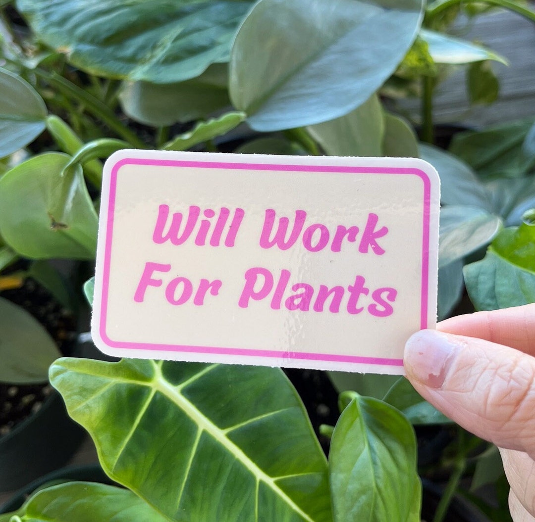 Will Work for Plants Sticker, Plant Lover Gift, Waterproof Vinyl Decal ...