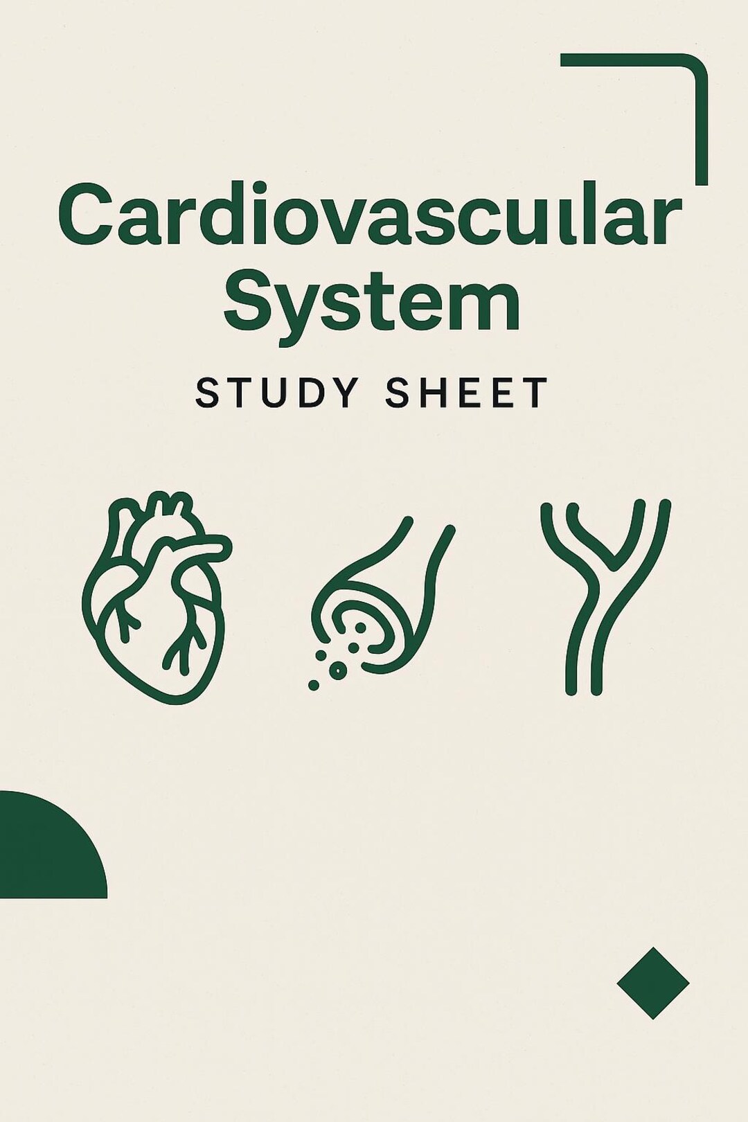 Cardiovascular Study Sheet - Etsy