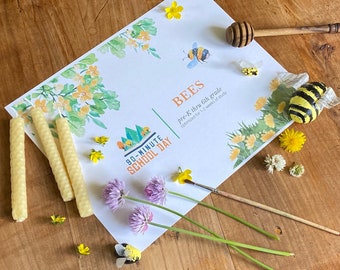 Bugs Unit Study Insect Unit Printable Homeschool Lesson - Etsy