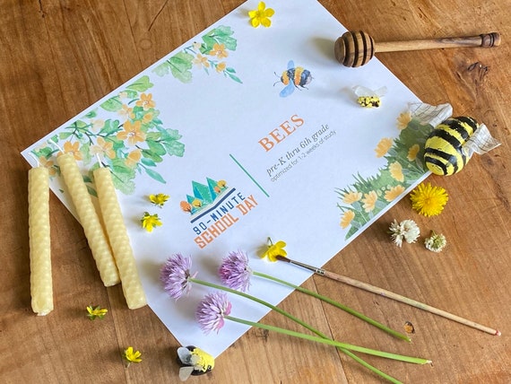Bees Pollinator Unit Study Homeschool Nature Journal Book - Etsy
