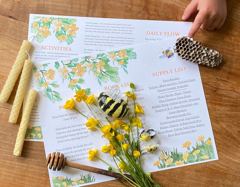 Bees, Pollinator, Unit Study, Homeschool, Nature Journal, Book List ...