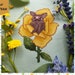 Bat in a Flower Cross Stitch Pattern, Wildlife Art, Gift for Batlover ...