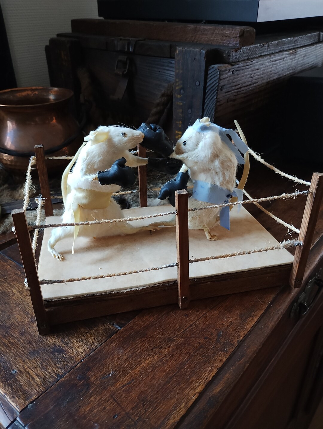 Taxidermy of Mice Boxing in the Ring Oddities - Etsy