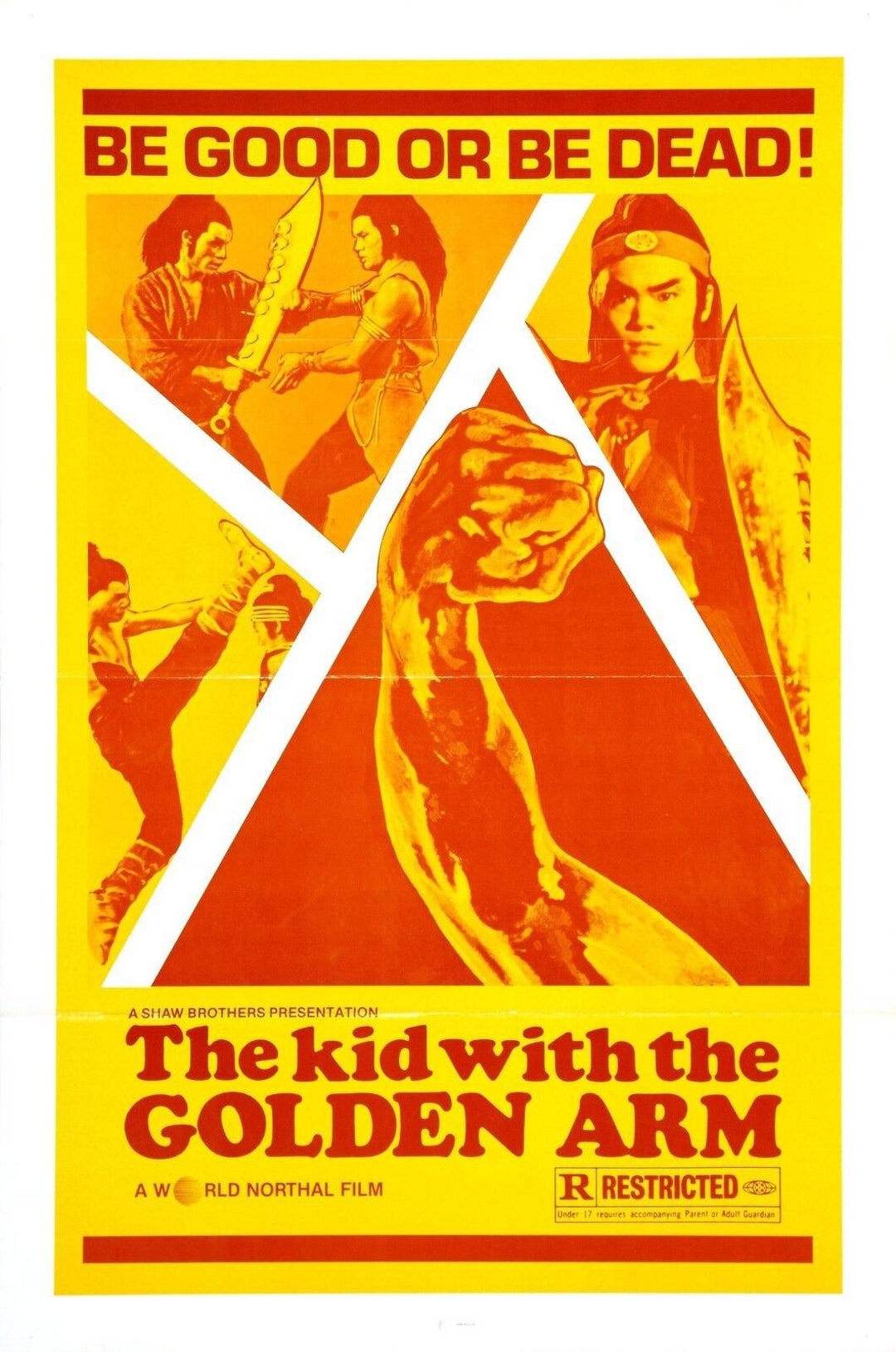 The Kid With the Golden Arm Movie Poster Rare Kung-fu - Etsy