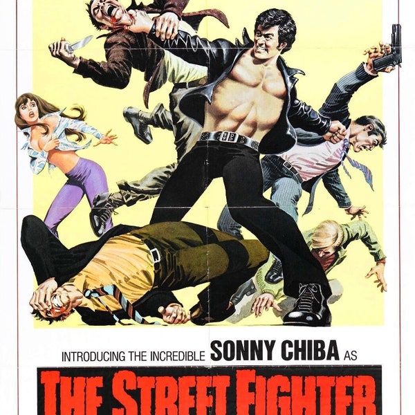 Street Fighter Movie Poster - Etsy