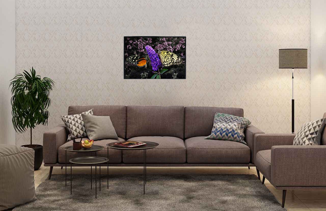 Monarch Butterfly Art Print Butterfly Art Work Colorful - Etsy