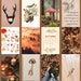 50 Piece Autumn Aesthetic Collage Kit, Fall Season Photo Collage ...