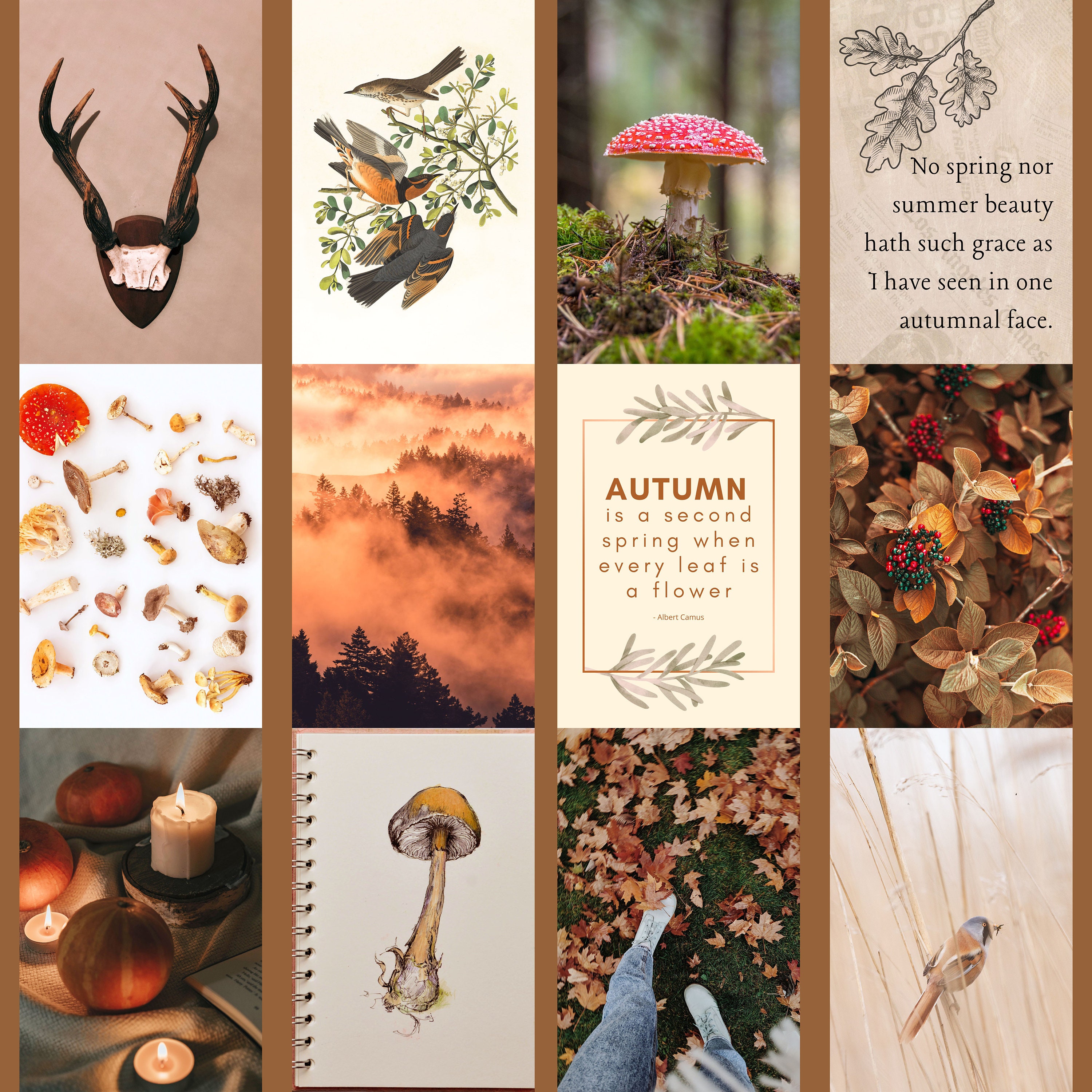 50 Piece Autumn Aesthetic Collage Kit, Fall Season Photo Collage ...
