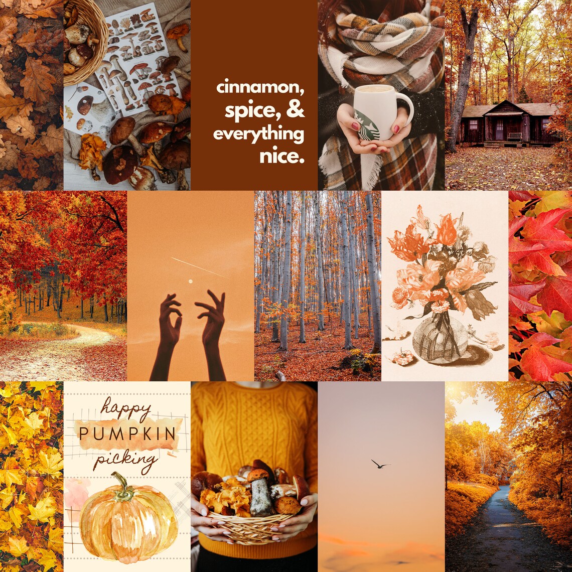 50 Piece Autumn Aesthetic Collage Kit, Fall Season Photo Collage ...