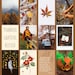 50 Piece Autumn Aesthetic Collage Kit, Fall Season Photo Collage ...